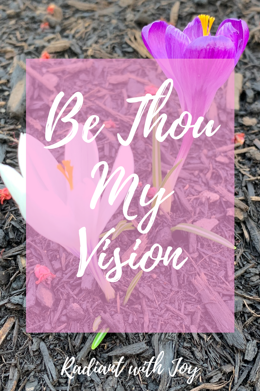 Be Thou My Vision – Radiant with Joy