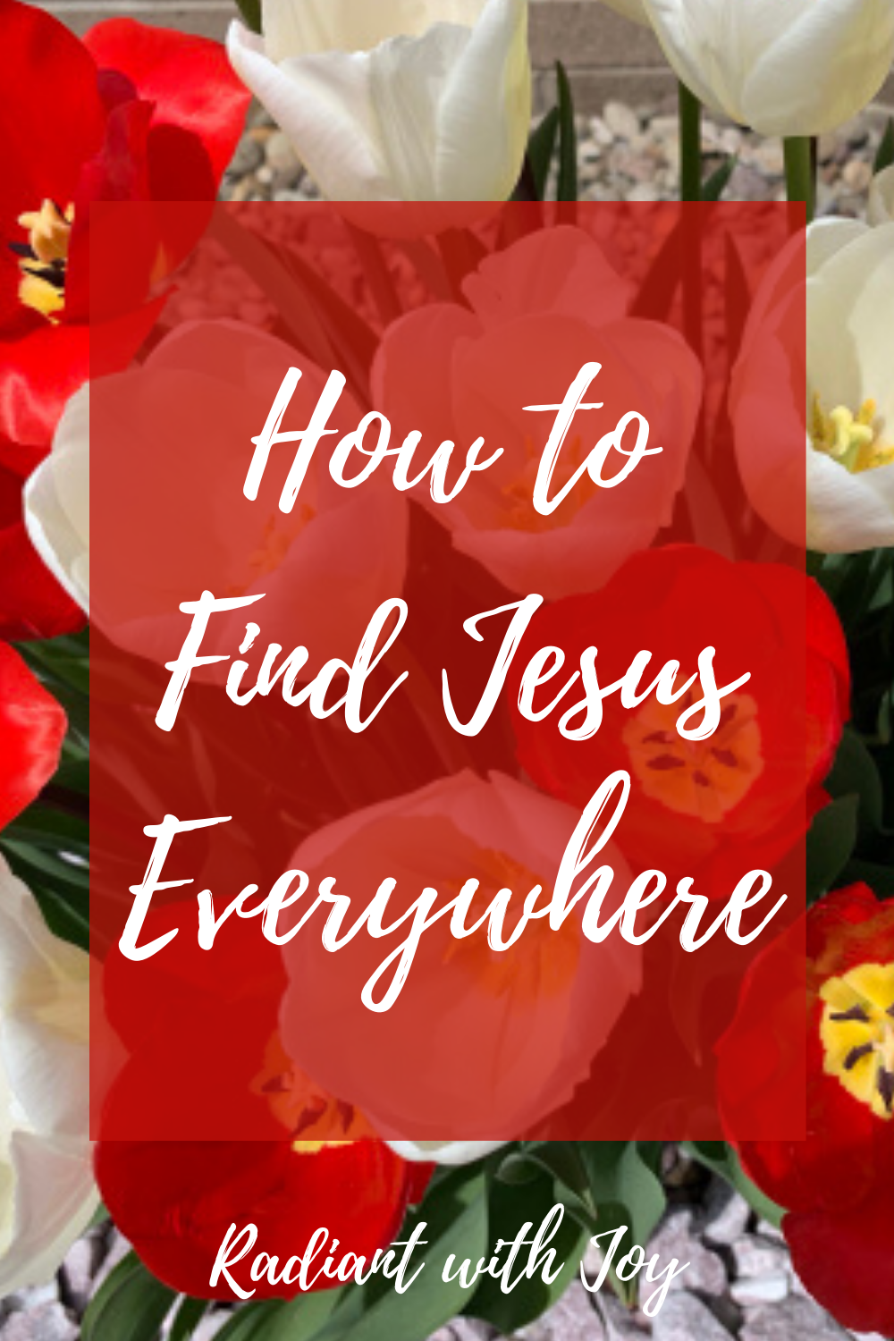 How to Find Jesus Everywhere – Radiant with Joy